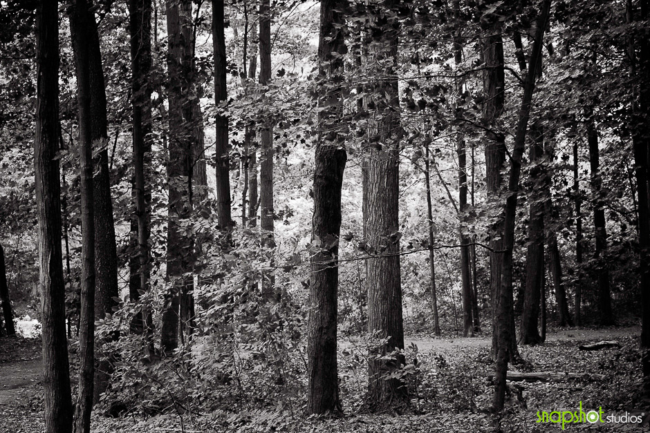 Gallery | Snapshot Studios